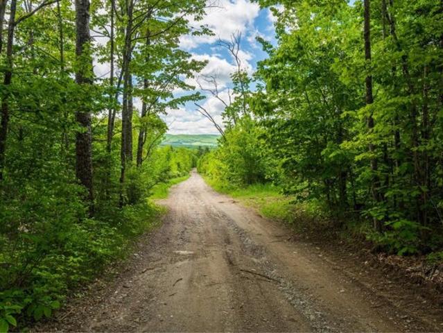 Ml Troy Center Rd, Dixmont, Plot For Sale