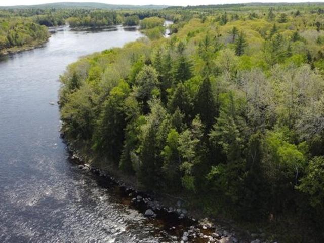Ml W Indian Rd, Woodville, Plot For Sale