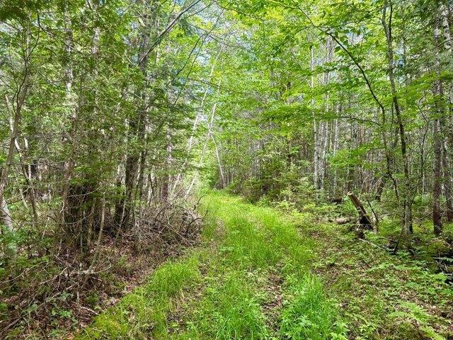 Ml Wellington Rd, Harmony, Plot For Sale