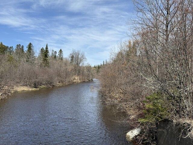 Ml Yard Rd, Oakfield, Plot For Sale