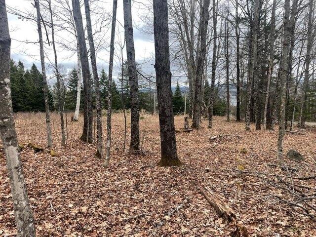 Ml Amber Rd, Rangeley, Plot For Sale