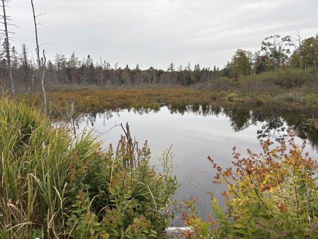 Ml Basin Rd, Addison, Plot For Sale