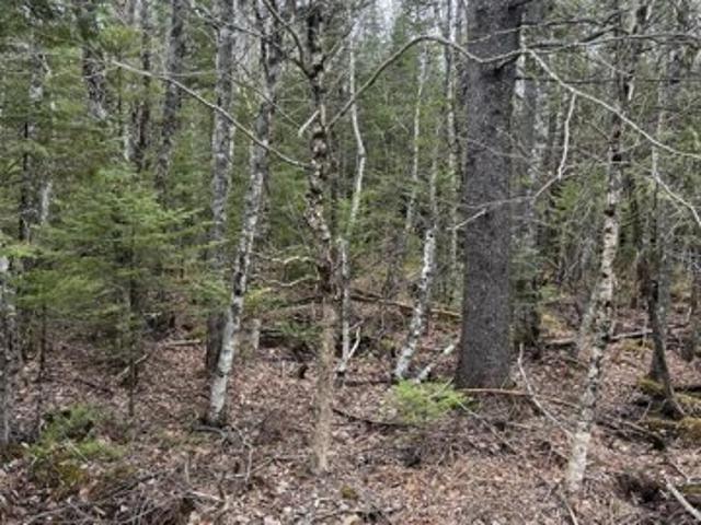 Ml Boundary Rd, Orient, Plot For Sale