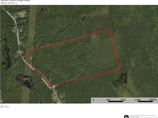 Ml Cards Ridge Rd, Greenbush, Plot For Sale