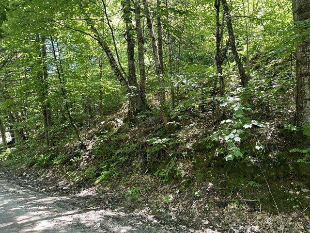Ml g Wiley Rd, Norway, Plot For Sale