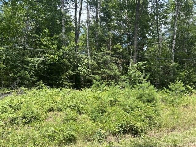 Ml Holmes Rd, Dover Foxcroft, Plot For Sale