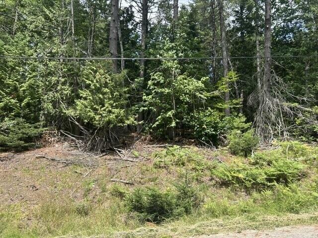 Ml Holmes Rd, Dover Foxcroft, Plot For Sale