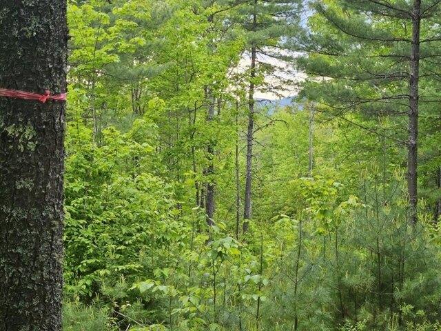 Ml Mountain View Rd, Fryeburg, Plot For Sale