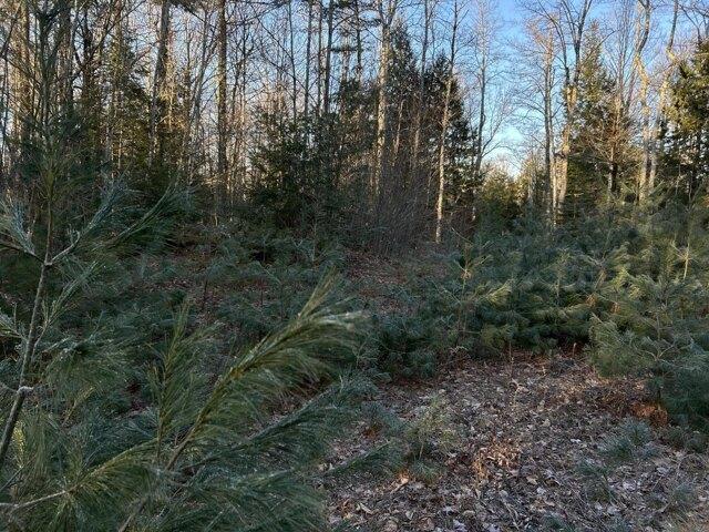 Ml Nelson Ridge Rd N, Washington, Plot For Sale