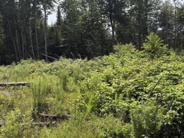 Ml Pinewood Dr, Corinth, Plot For Sale