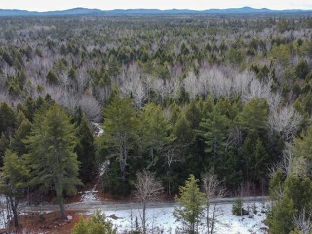 Ml Pickerel Pond Rd, Greenfield Township, Plot For Sale