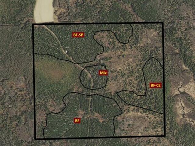 Ml Pleine Rd, Saint Agatha, Plot For Sale