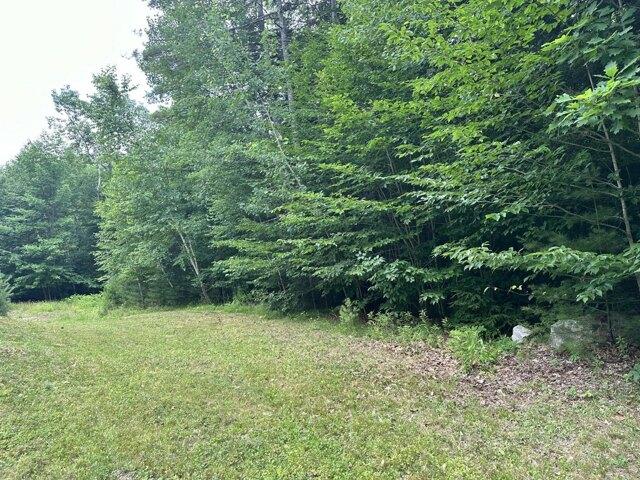 Ml Sodom Rd, Norway, Plot For Sale