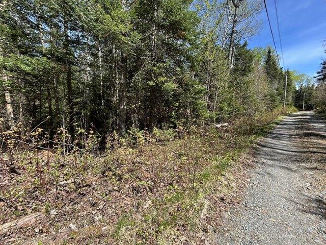 M/l Stinchfield Rd, Sandy River Plt, Plot For Sale