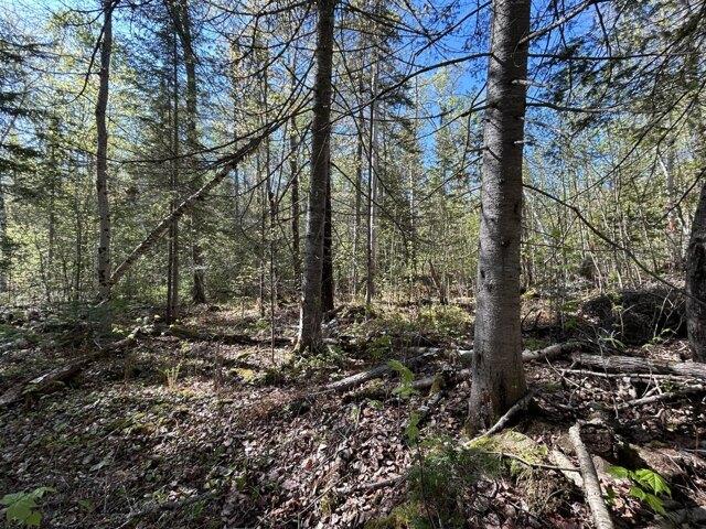 M/la Bald Mt Rd, Rangeley Plt, Plot For Sale