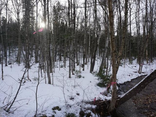 Mla Redding Rd, Woodstock, Plot For Sale