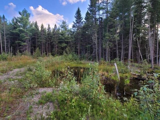 Mla Thomas Rd, Woodland, Plot For Sale