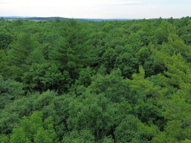 Mlh Bolton Hill Rd, Augusta, Plot For Sale