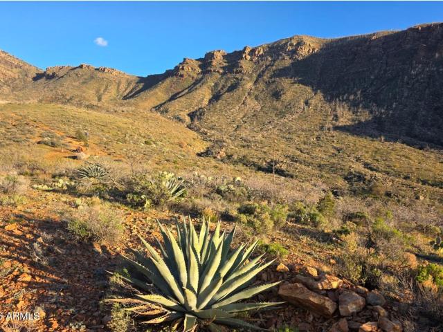 MM 158 S AZ State Highway 77 #