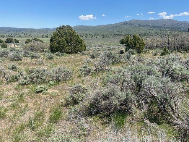 Mme # 11NW, Central, UT 84722