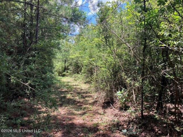 Ms 48, Tylertown, MS 39667