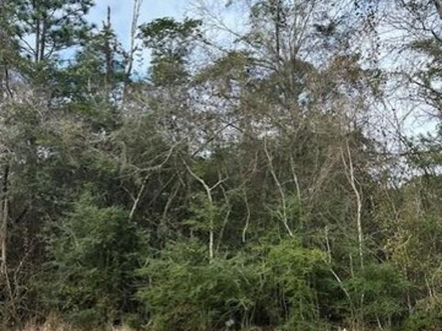Ms 53 Lot 10, Gulfport, MS 39503