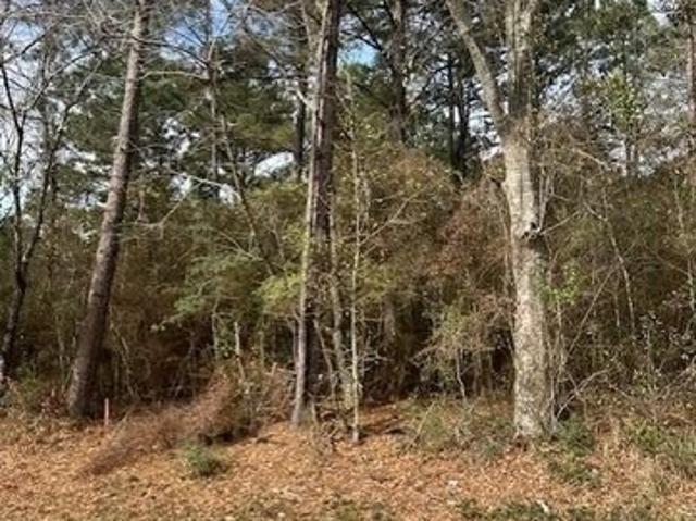 Ms 53 Lot 13, Gulfport, MS 39503