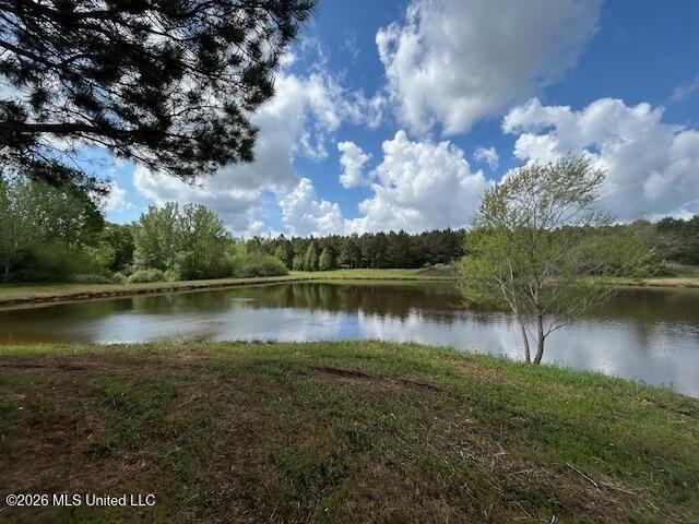 Ms 583, Tylertown, MS 39667