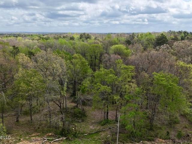 Ms 7, Holly Springs, MS 38635