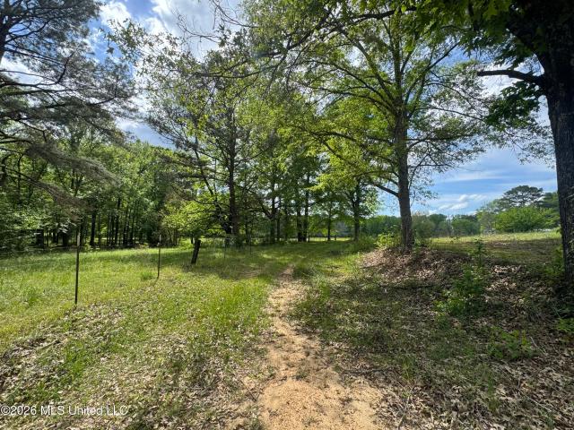 Ms 13, Mendenhall, MS 39114 | MLS #4145 | Compass