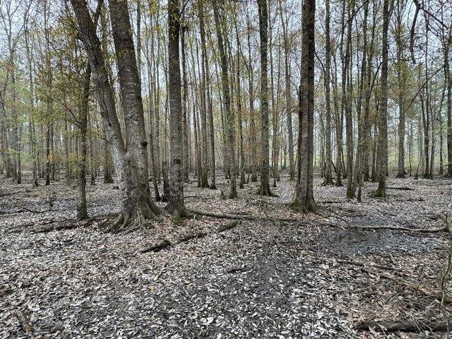 Ms 15, Ellisville, MS 39437