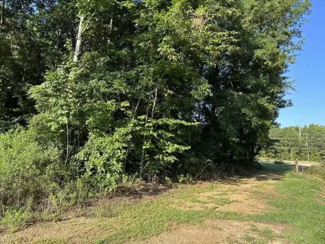 MS 373, Columbus, MS 39705 654807552
