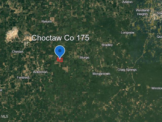 MS Highway 12 W, Ackerman, MS 39735
