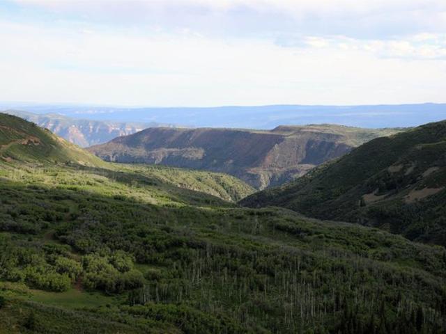 Ms Rd, Glade Park, CO 81522