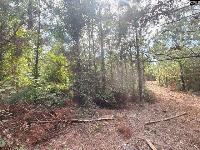 Mpf 2 State S Rd # 28 31, Jefferson, SC 29718