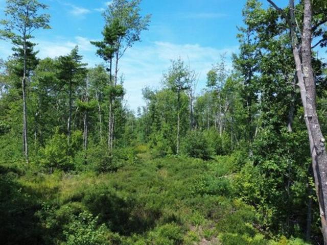 Mrl Kings Hwy, West Bath, Plot For Sale