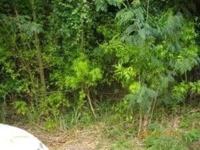 Mt Victory Na, Saint Croix, Plot For Sale