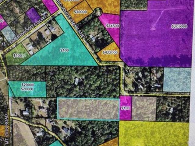 MT Zion Rd, Crawfordville, FL 32327