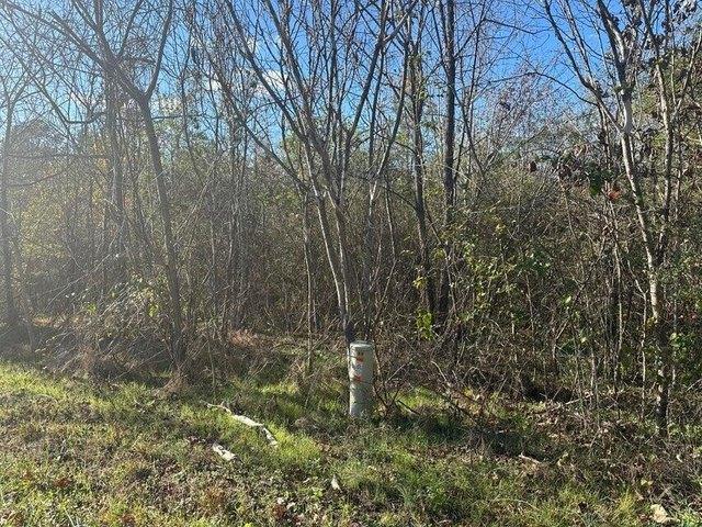 MT Carmel Rd, Decatur, TN 37322
