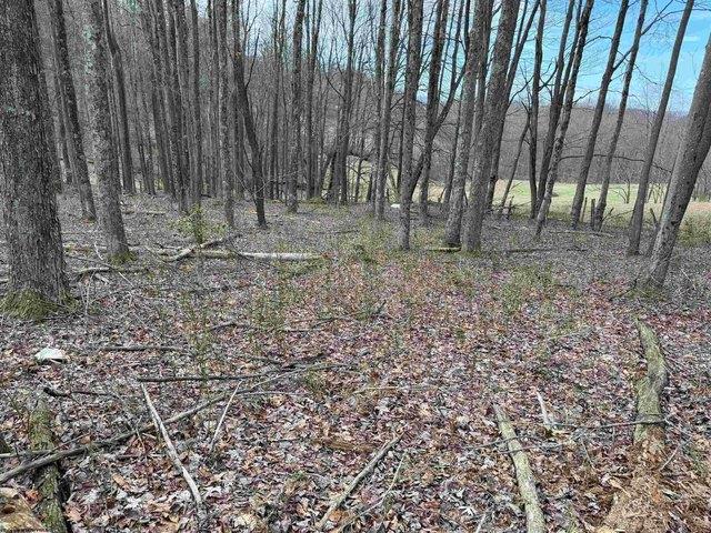 MT Hebron Rd, Volga, WV 26238