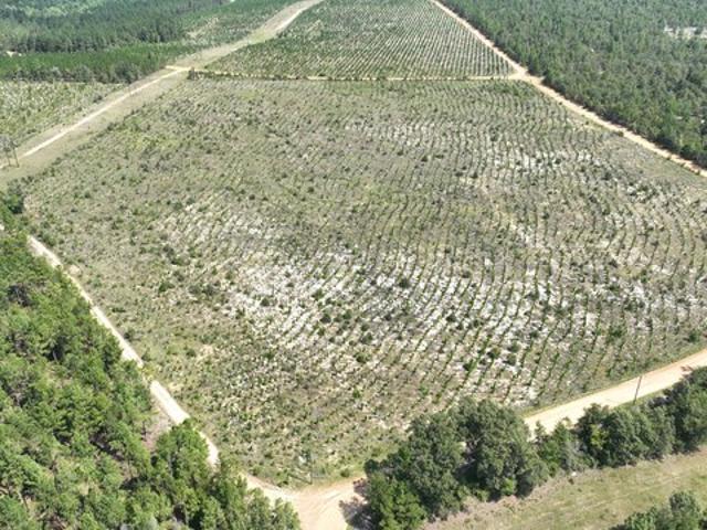Mt Horeb Church Rd, Wrens, GA 30833