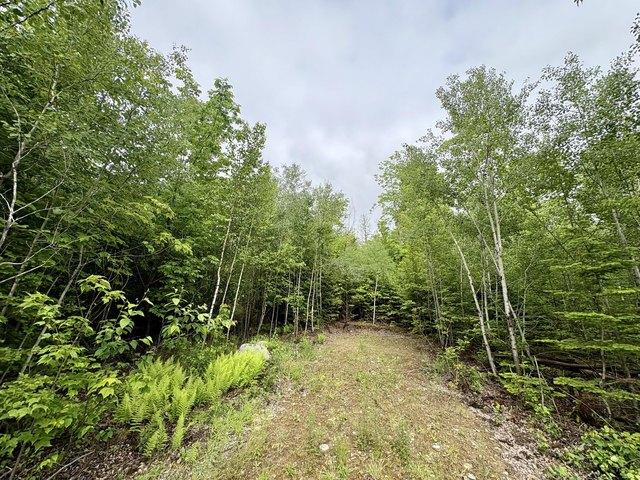 MT Jefferson Hts Lot 4, Lee, ME 04455