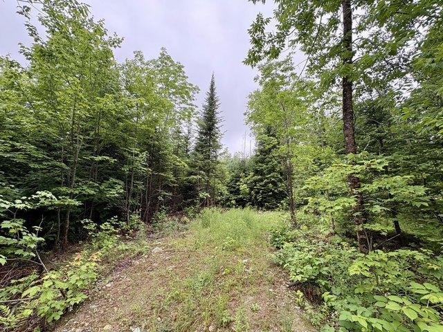 MT Jefferson Hts Lot 1, Lee, ME 04455