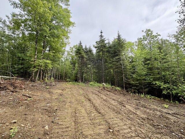 Mt Jefferson Hts Lot,plot For Sale