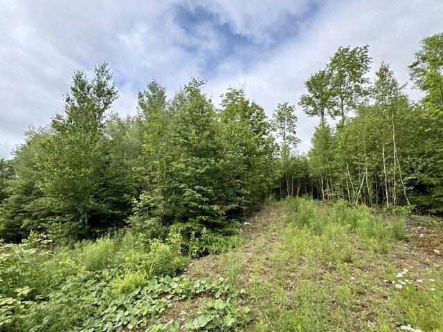 Mt Jefferson Hts Lot,plot For Sale