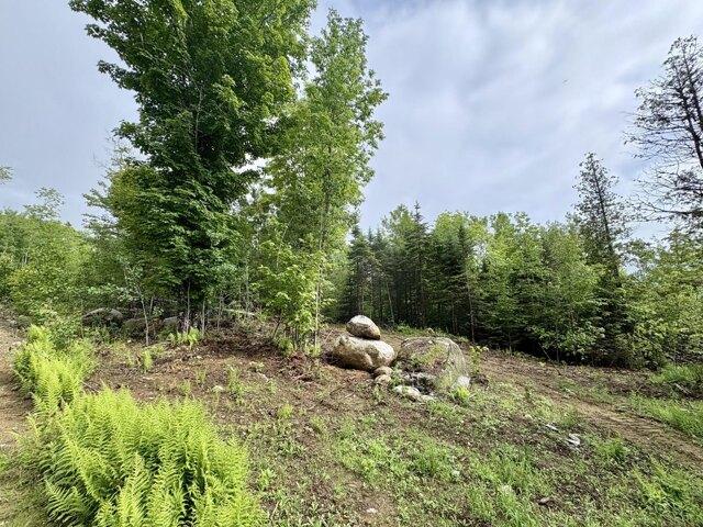 Mt Jefferson Hts Lot,plot For Sale