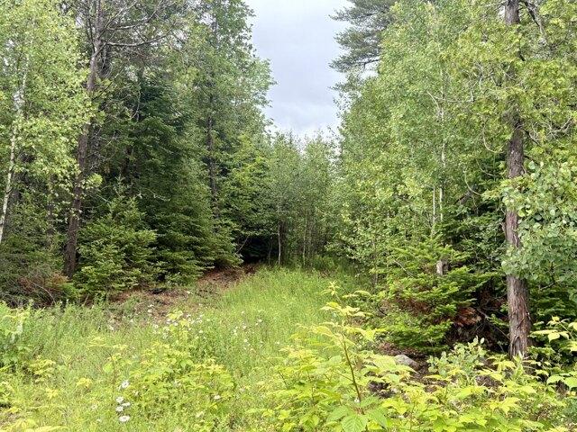 Mt Jefferson Hts Lot,plot For Sale