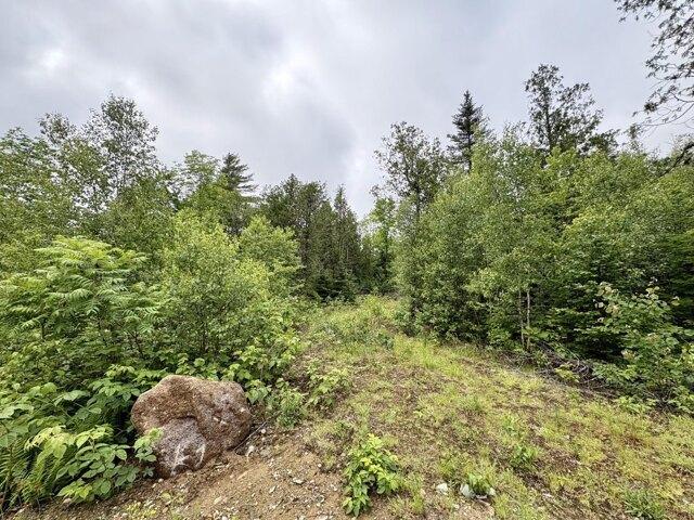 Mt Jefferson Hts Lot,plot For Sale