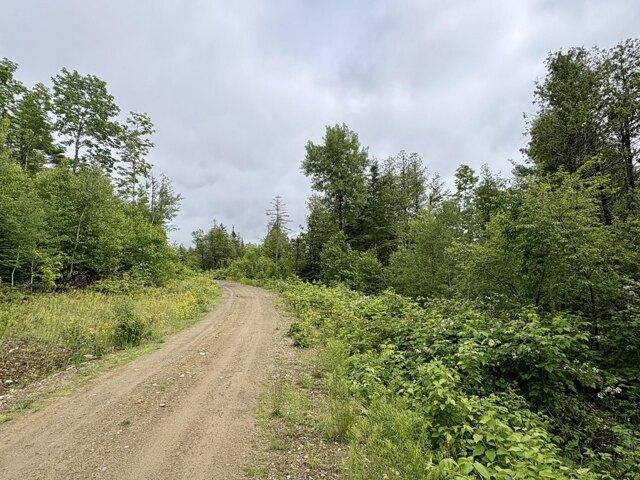 Mt Jefferson Hts Lot,plot For Sale