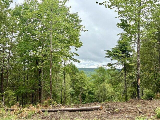 Mt Jefferson Hts Lot,plot For Sale